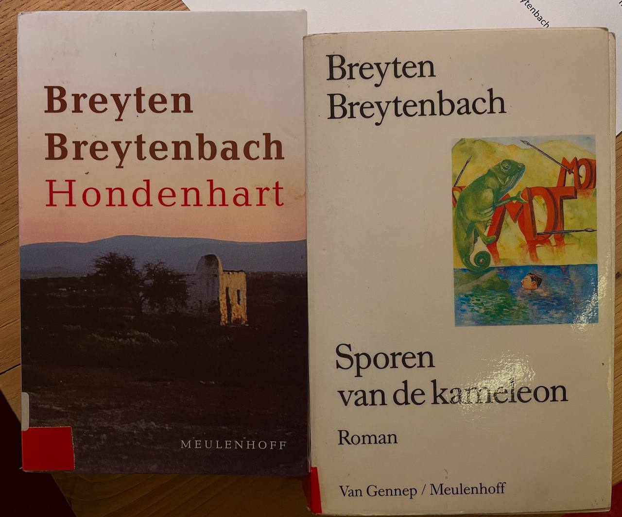 Breyten Breytenbach (85) overleden – Het Damesleesmuseum
